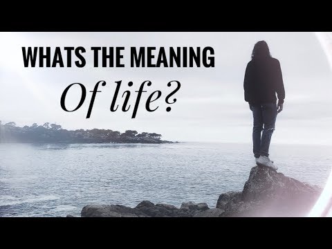 The Most Philosophical Answer To The Meaning of Life