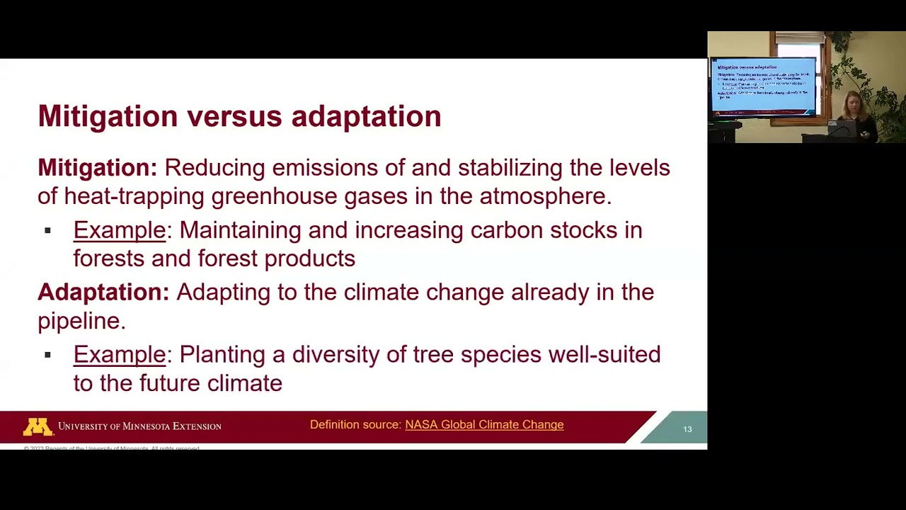 Climate Ready Woodlands: Rewilding Your Backyard Woods