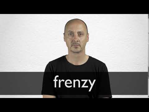 FRENZY Synonyms | Collins English Thesaurus