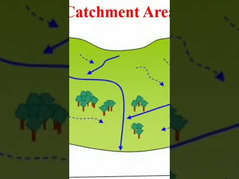 Uncovering the Insane Importance of Catchment Areas You Never Knew!