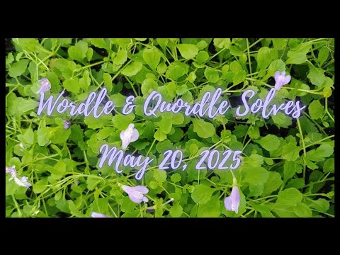 Wordle & Quordle of the Day for May 20, 2025: Happy Reduce Your Lawn Day!