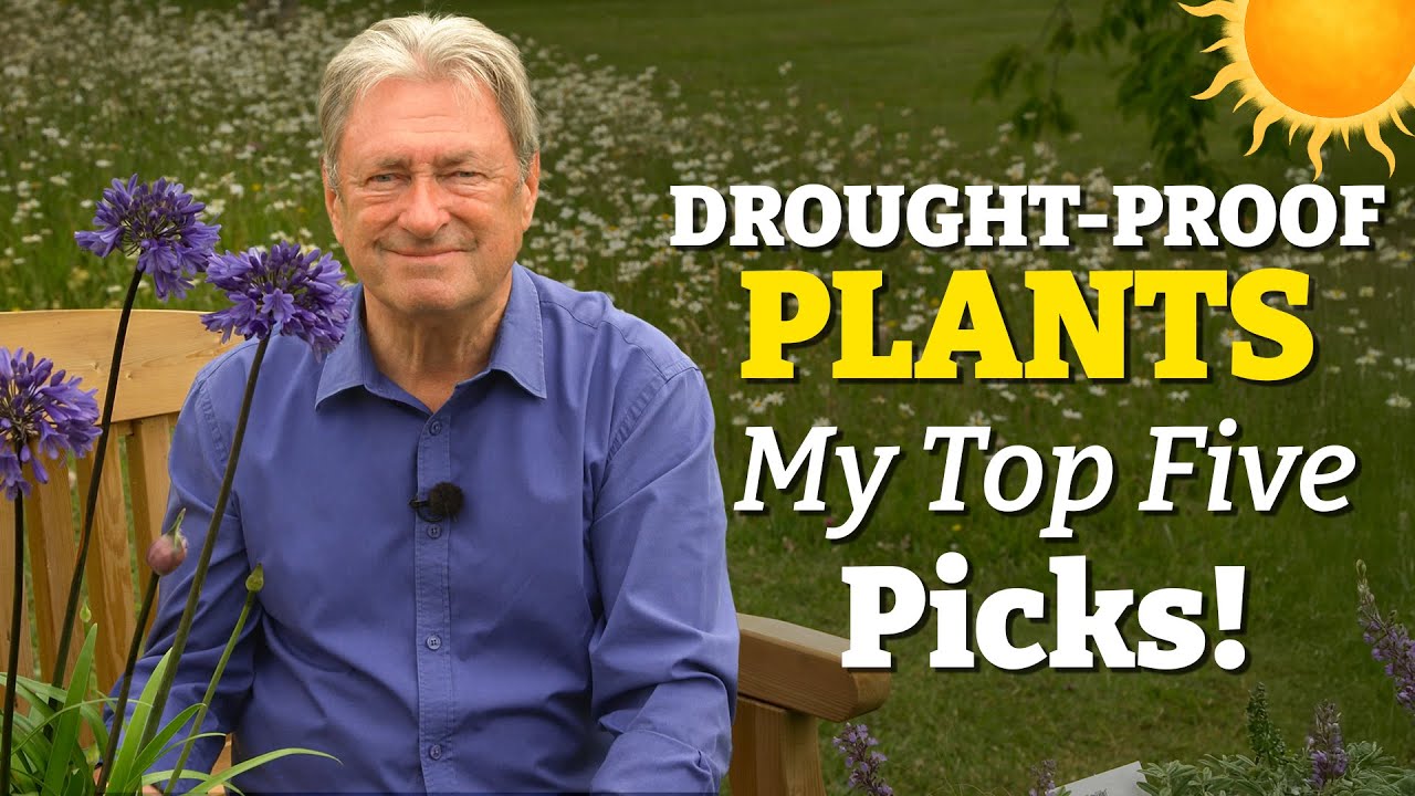 My Top 5 Drought-Resistant Plants for a Low-Maintenance Garden