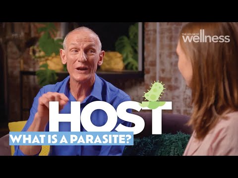 What is a parasite?