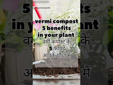 Top 5 benefits of vermi compost using in your plant#video #plants#garden #ytshorts #yt #video #viral
