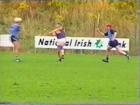 St Annes v Lough Lene Gaels Leinster Club SH 2000 Part 2