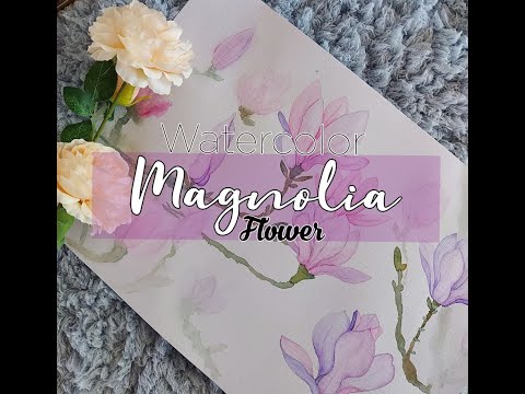 Watercolor MAGNOLIA flower
