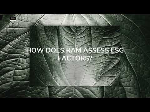 ESG in Credit Ratings