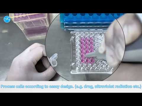 Cell Counting Kit-8 (CCK-8) Assay Principle