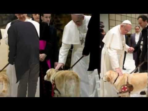 Pope Watch: Francis and Animals – Catholic Concern for Animals