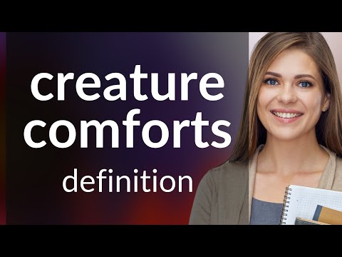 Creature comforts — what is CREATURE COMFORTS meaning