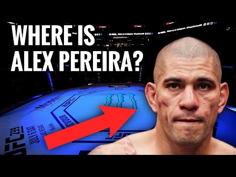Alex Pereira Next Fight (UPDATE)