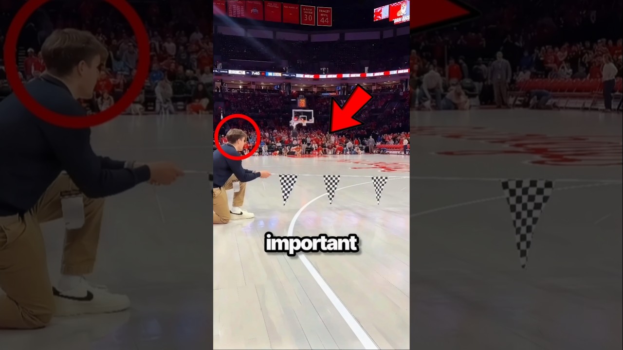 Never Underestimate a Corgi! 😲