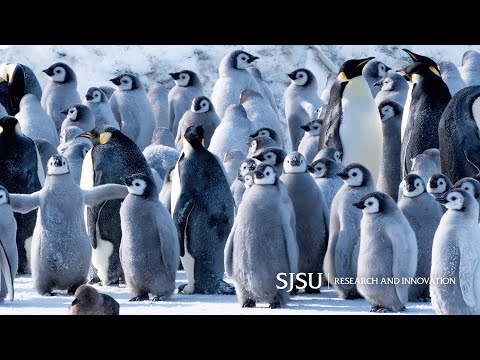SJSU Research Week 2023
