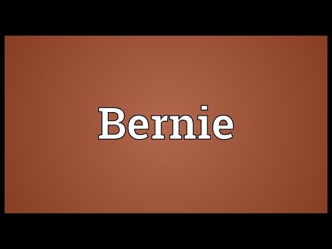 Bernie Meaning