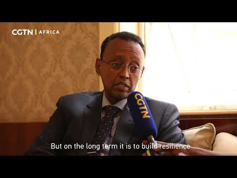 IGAD sounds alarm as drought hits Eastern Africa