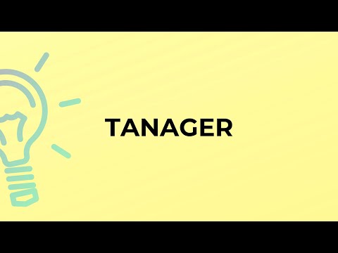 What is the meaning of the word TANAGER?