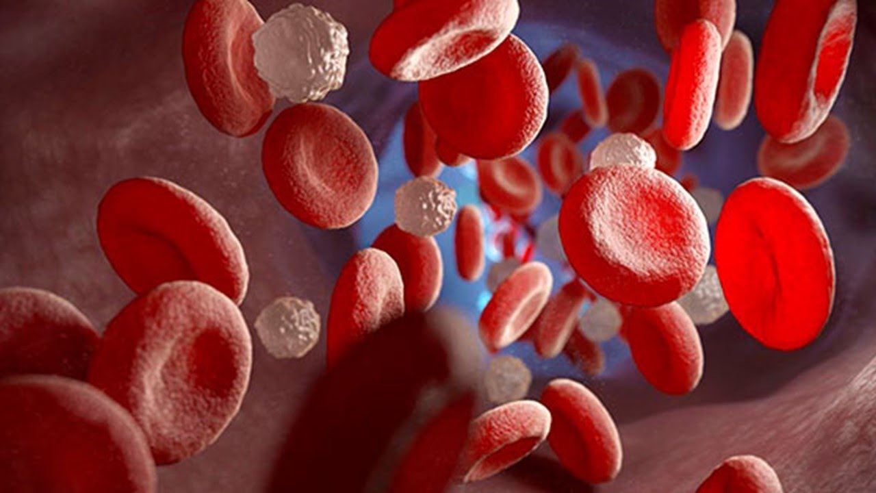 ¿Cuál es la diferencia entre un flebotomista certificado y un técnico ...