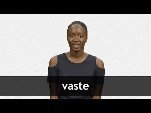 English Translation of “VASTE” | Collins French-English Dictionary