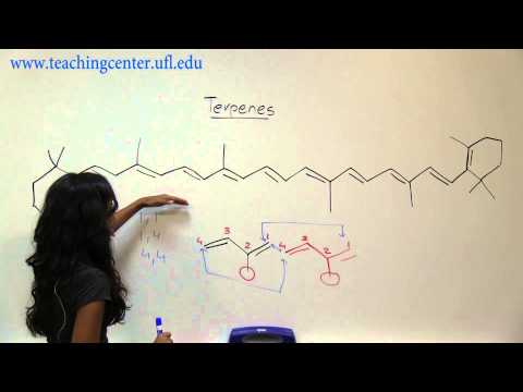 Recognizing Terpenes