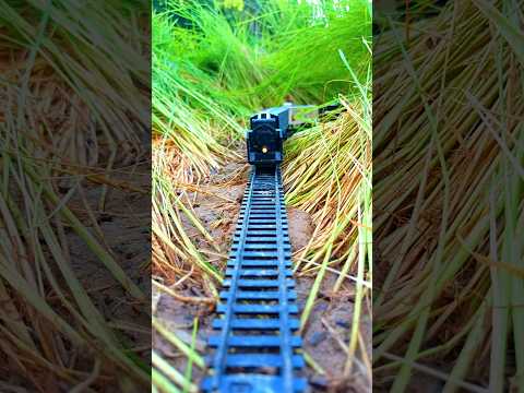 kereta Express Train