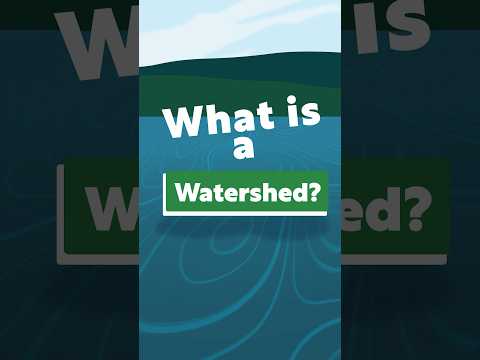 What is a Watershed? #chesapeakebay #environmentalscience #education