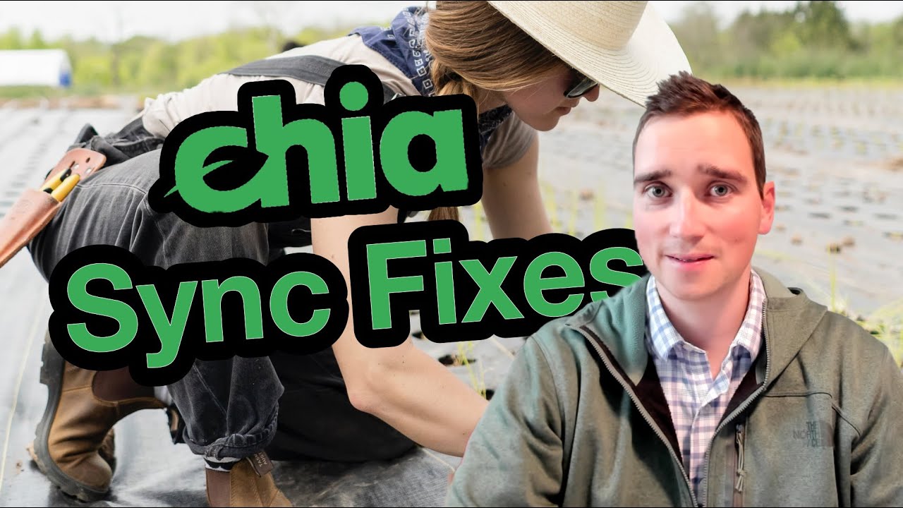 Fix Chia Status Errors