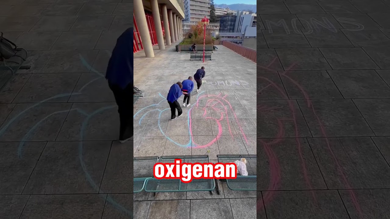 así funciona el #Corazon #venas #arterias