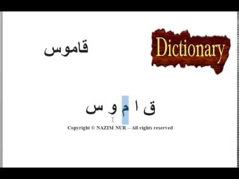 Dictionary