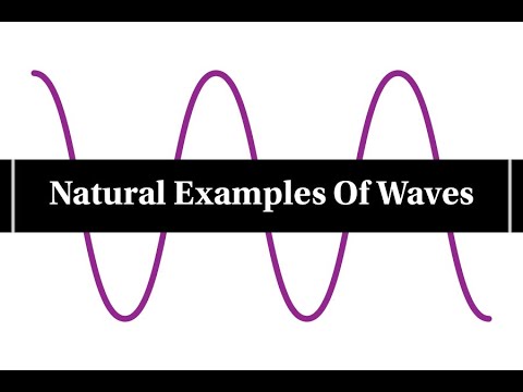 Natural examples of Waves