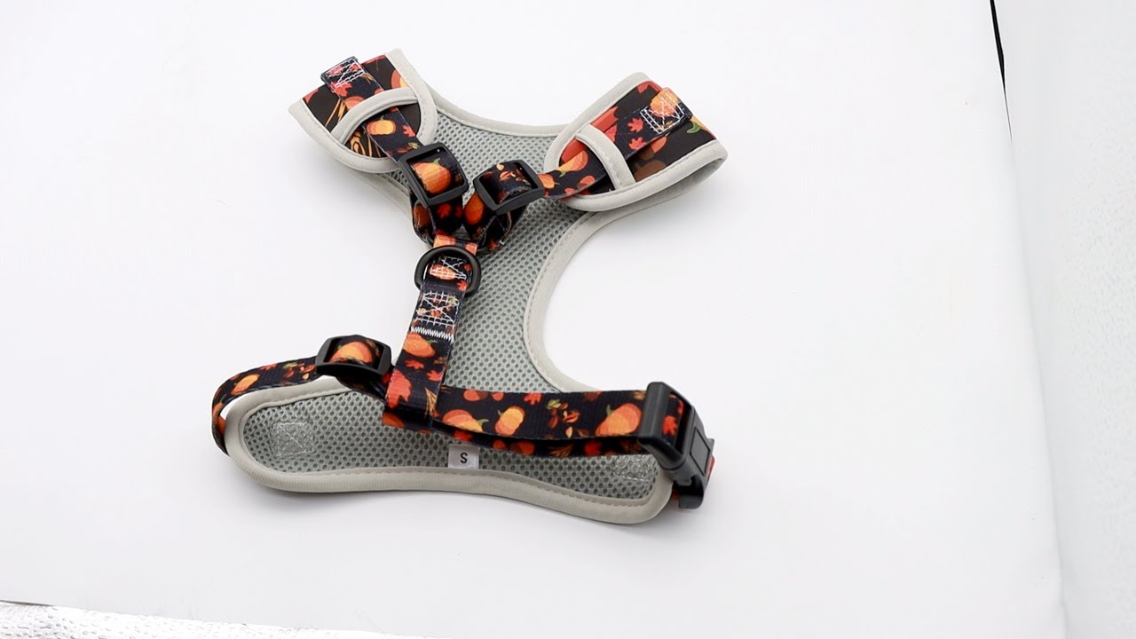 Dog chest harness-Customized Item