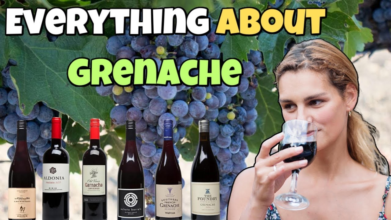 What is Grenache?