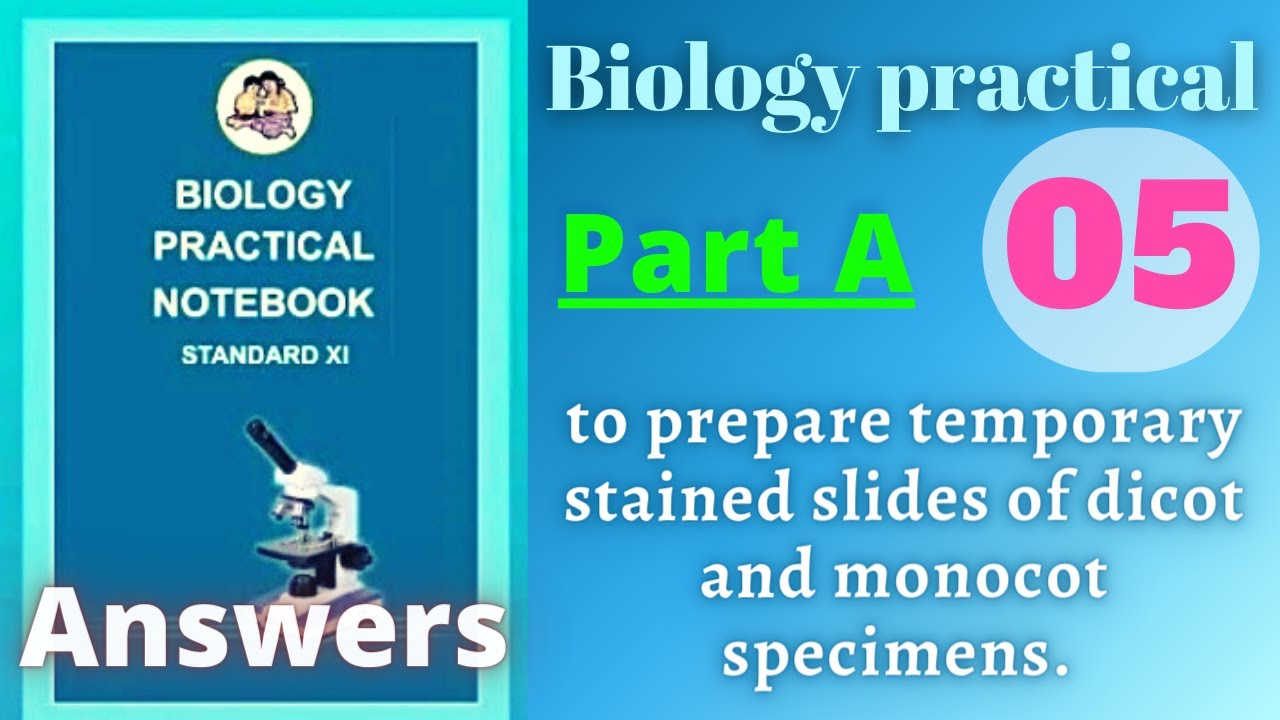 to prepare temporary stained slides biology practical class 11 experiment 5 part a answers