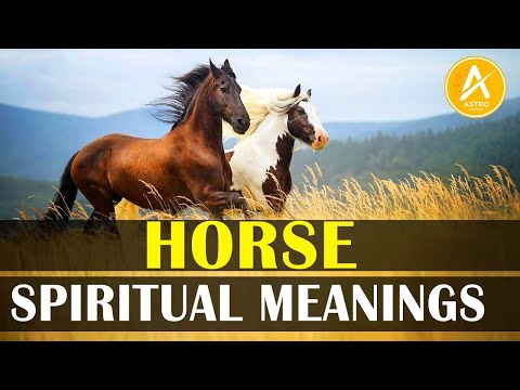 Horse Spiritual Meaning And Symbolism | Horse Spiritual Totem