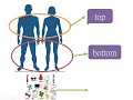 單字：Clothes - top, bottom, accessories | 合作夥伴 | 均一教育平台