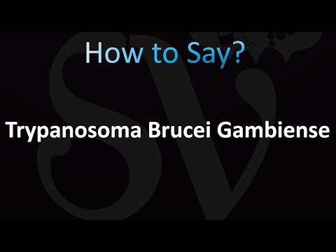 How to Pronounce Trypanosoma Brucei Gambiense