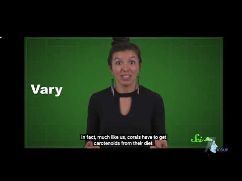 How Do You Pronounce Vary and Very?