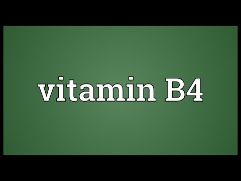 Vitamin B4 Meaning