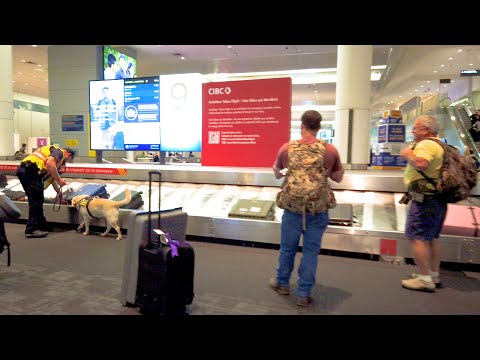 Arriving At Toronto Pearson International Airport ????????