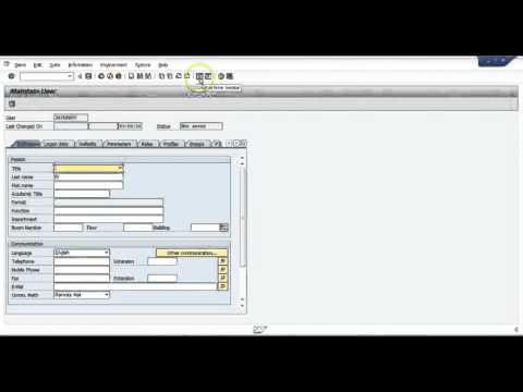SAP Audit