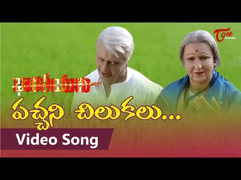 Pachani Chilukalu Video Song | Bharateeyudu Movie | Kamal Haasan | Sukanya | A.R Rahman | TeluguOne