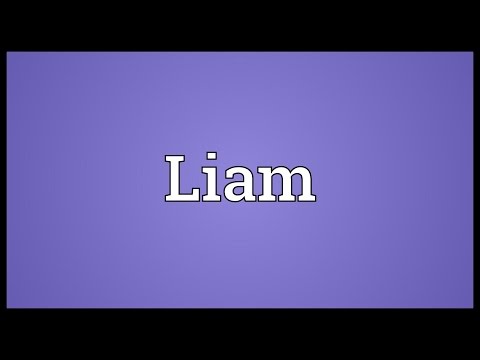 Liam Meaning