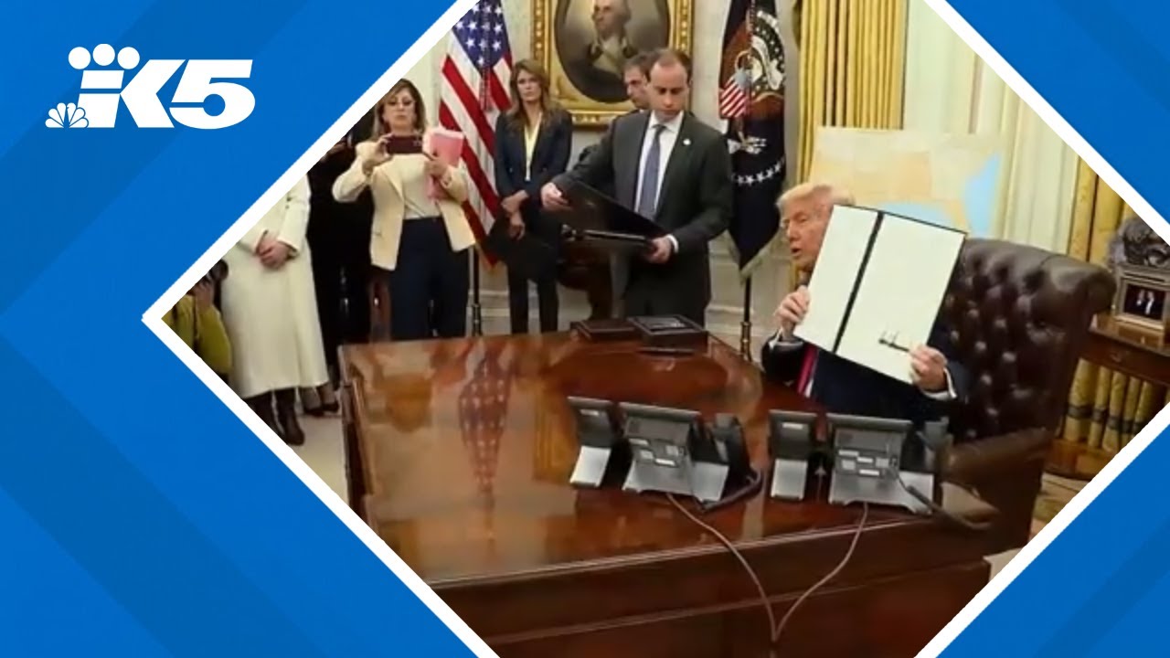 President Trump announces 25% tariffs on auto imports