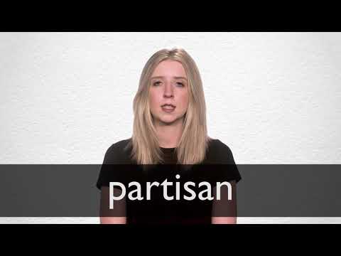 PARTISAN definition and meaning | Collins English Dictionary