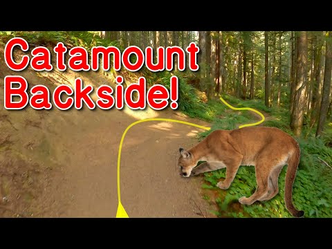 Catamount Backside Mountain Bike Trail, Lyons, Oregon