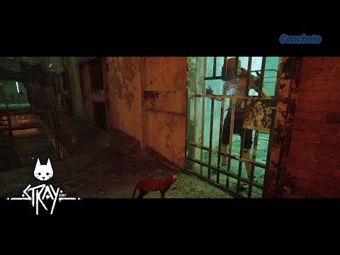 Steam Community :: Video :: Stray - Gameplay Parte 5 (PC)