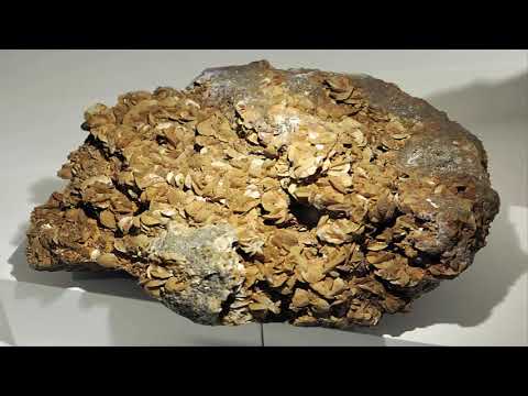 What is the group name for the mineral siderite?