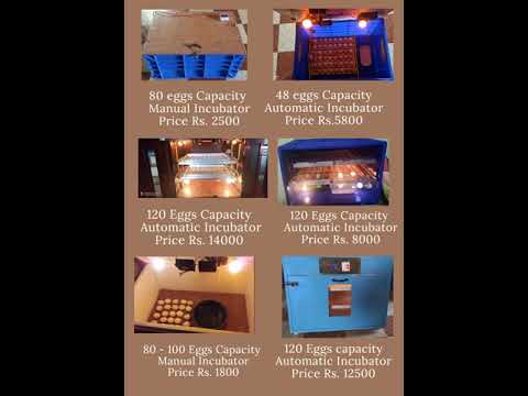 Incubators Price & Details