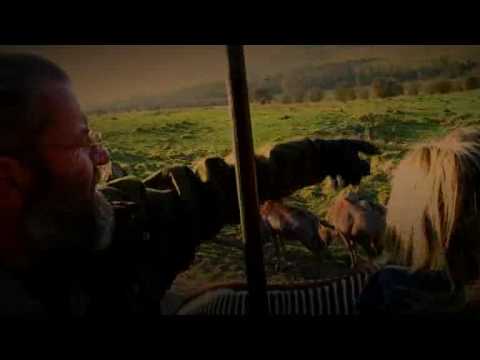 Livingstone Safari Lodge at Port Lympne Wild Animal Park in Kent