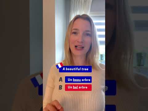Short French Quiz - Is it BEAU or BEL? #short