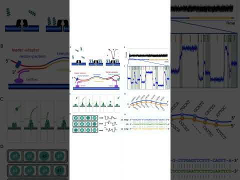 What is Oxford Nanopore Technology ONT sequencing?